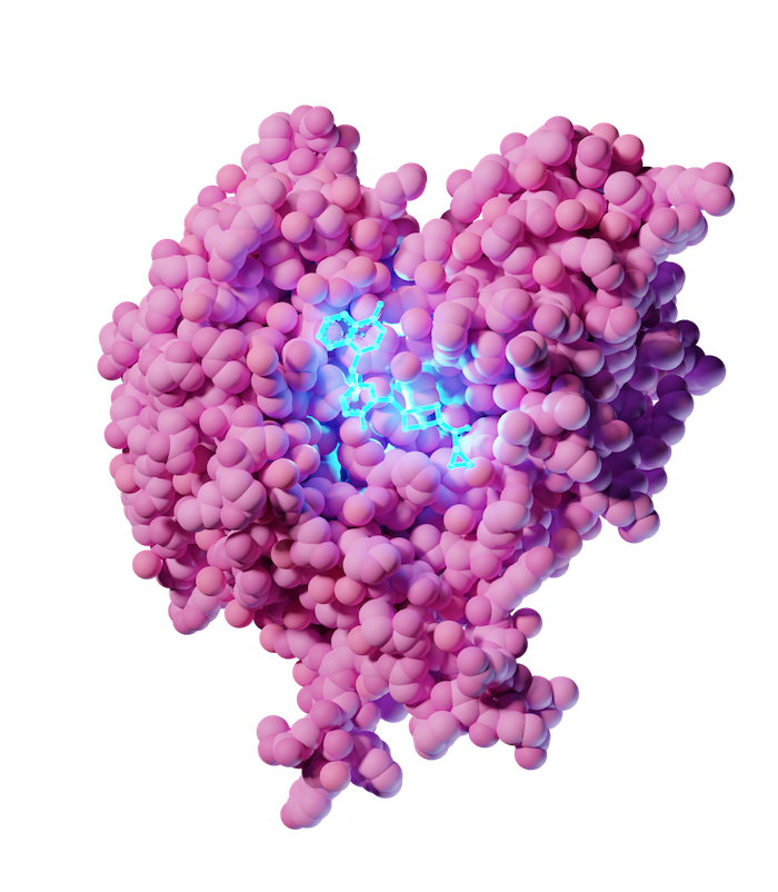 ::GU Cancer Network::